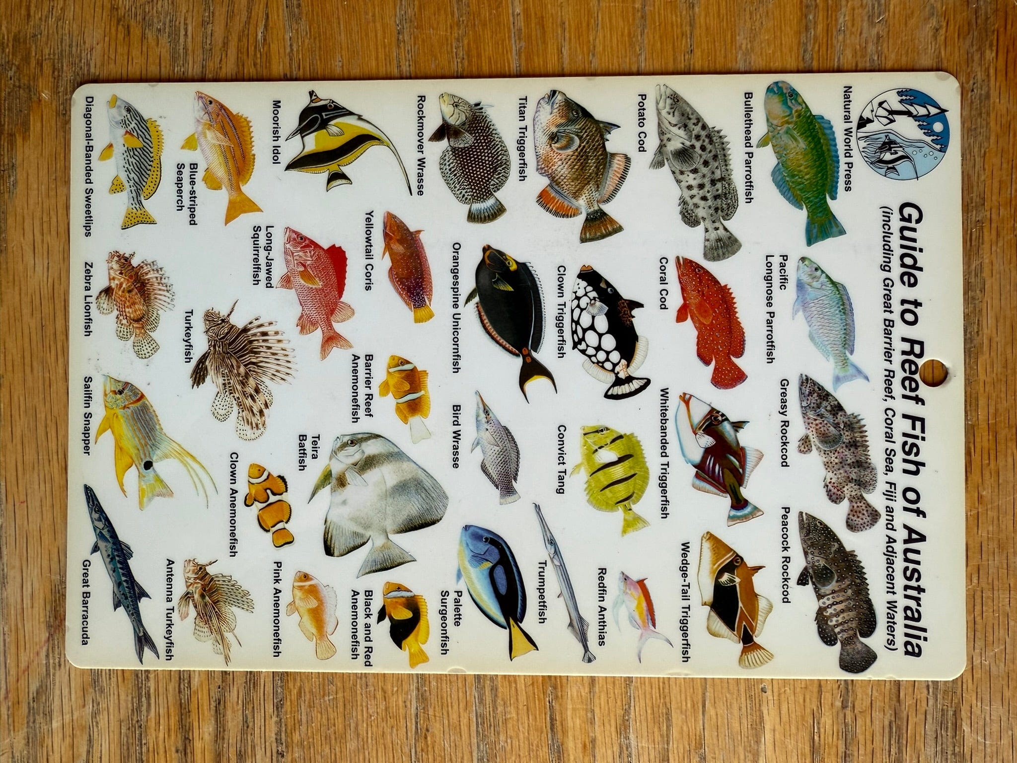 Guide to reef fish of Australia Card – ScubaGear Store