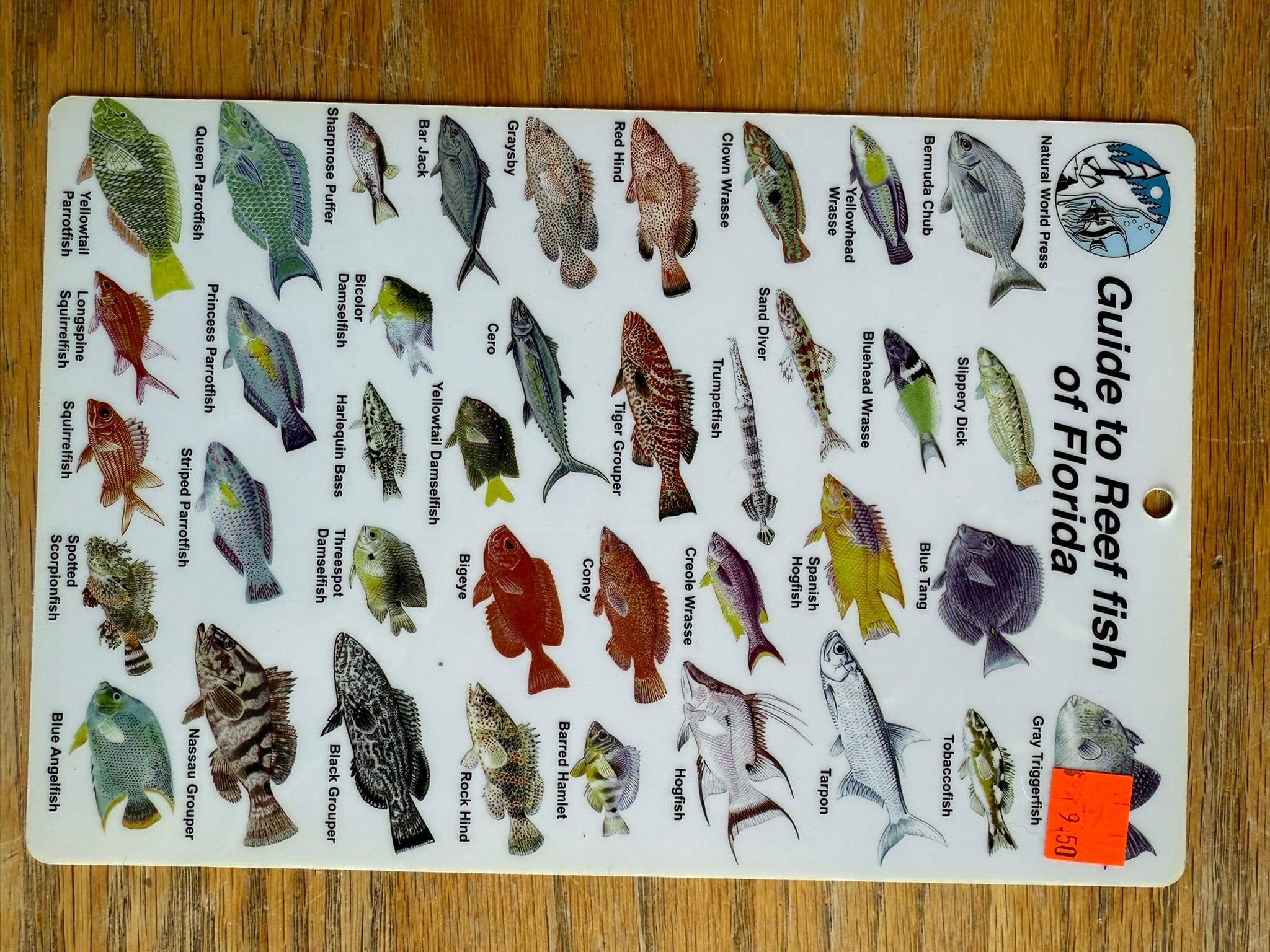 Guide to reef fish of Florida Card – ScubaGear Store